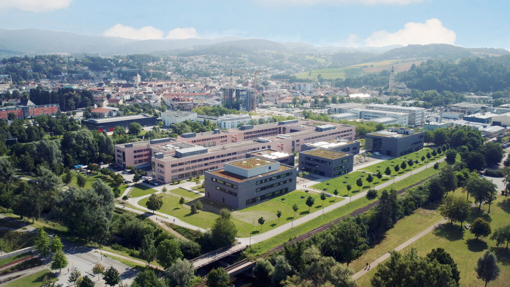 Organisation & Contact | DIT